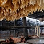 Phnom Penh: 4-Days Local Culture Experience - What Makes This Tour Stand Out