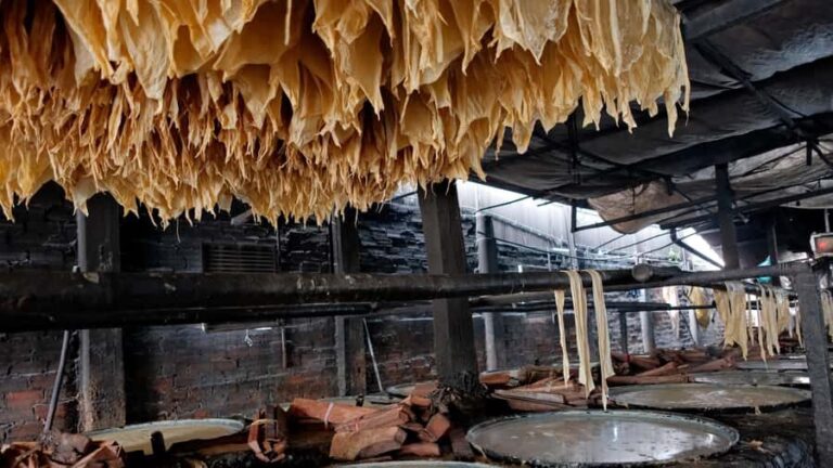 Phnom Penh: 4-Days Local Culture Experience - What Makes This Tour Stand Out