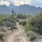 Phoenix: Guided Mountain Bike Adventure in Sonoran Desert - What You’ll Experience