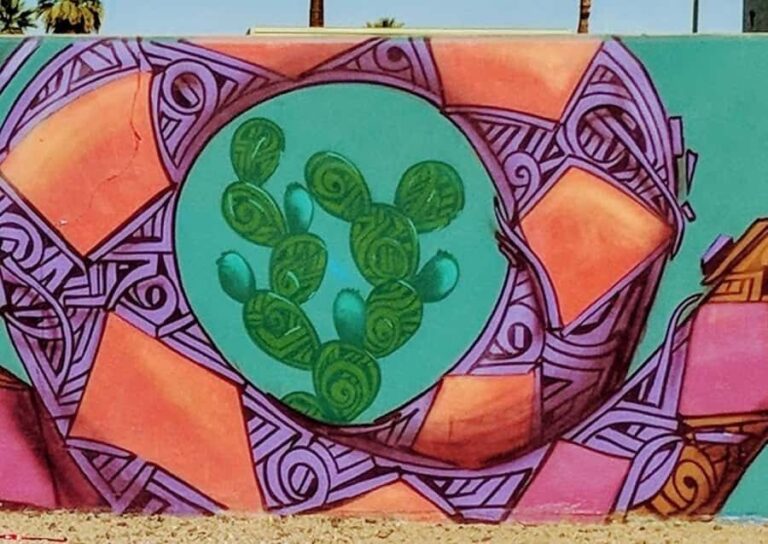 Phoenix: RoRo Street Art Walking Tour - Who Will Love This Tour?