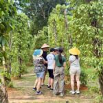 Phu Quoc: Classical Army Jeep Tour to North Island - Exploring Phu Quoc’s North Island by US Army Jeep