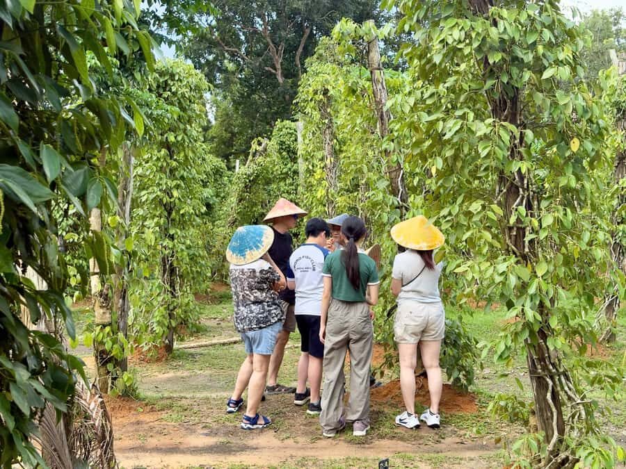 Phu Quoc: Classical Army Jeep Tour to North Island - Exploring Phu Quoc’s North Island by US Army Jeep