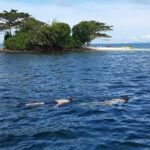 Phu Quoc Coral Reef Diving 1Day Tour - Detailed Breakdown of the Itinerary