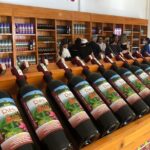 Phu Quoc Full Day Private North and South Journey - Exploring Phu Quoc’s Local Industry: Pearl, Pepper, and Wine