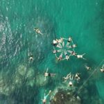 Phu Quoc Island Hopping and Snorkeling Tour with Lunch - Authentic Moments and Tips for Travelers