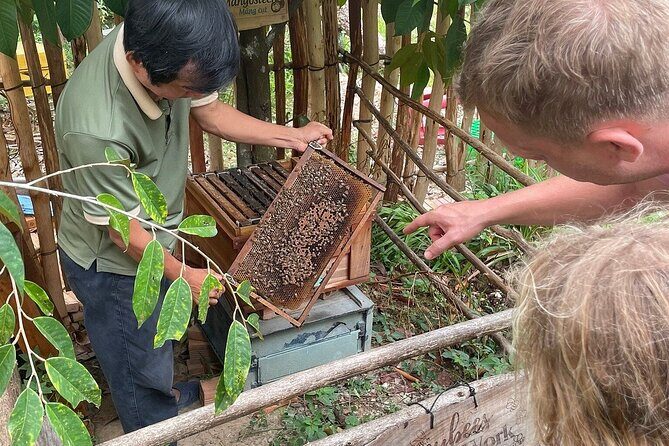 Phu Quoc Northern Discovery and River Kayaking Tour - Authentic Feedback from Travelers