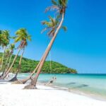 Phu Quoc Northern Escape Kayaking Adventure and Starfish Beach - The Experience Provider: You Cruises