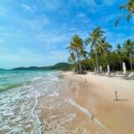 Phu Quoc Sightseeing Day Tour - Final Thoughts: Who Should Consider This Tour?