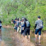 Phu Quoc Trekking and Saddle Up Board in Rach Tram River - What to Expect from the Activities