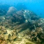 Phuket: 3 Day PADI Open Water Scuba Course with Boat Trip - What Makes This Experience Stand Out