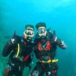 Phuket: 3 Dive Koh Phi Phi/Shark Point Scuba Diving Day Trip - What Makes Each Part Special