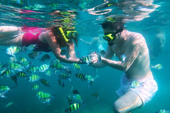 Phuket 3 Khai Island Speedboat With Snorkeling (Half or Full Day) - Who Will Love This Tour?