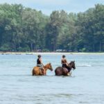Phuket Beach Horseback Adventure - The Itinerary in Detail: What to Expect from the Phuket Beach Horseback Adventure