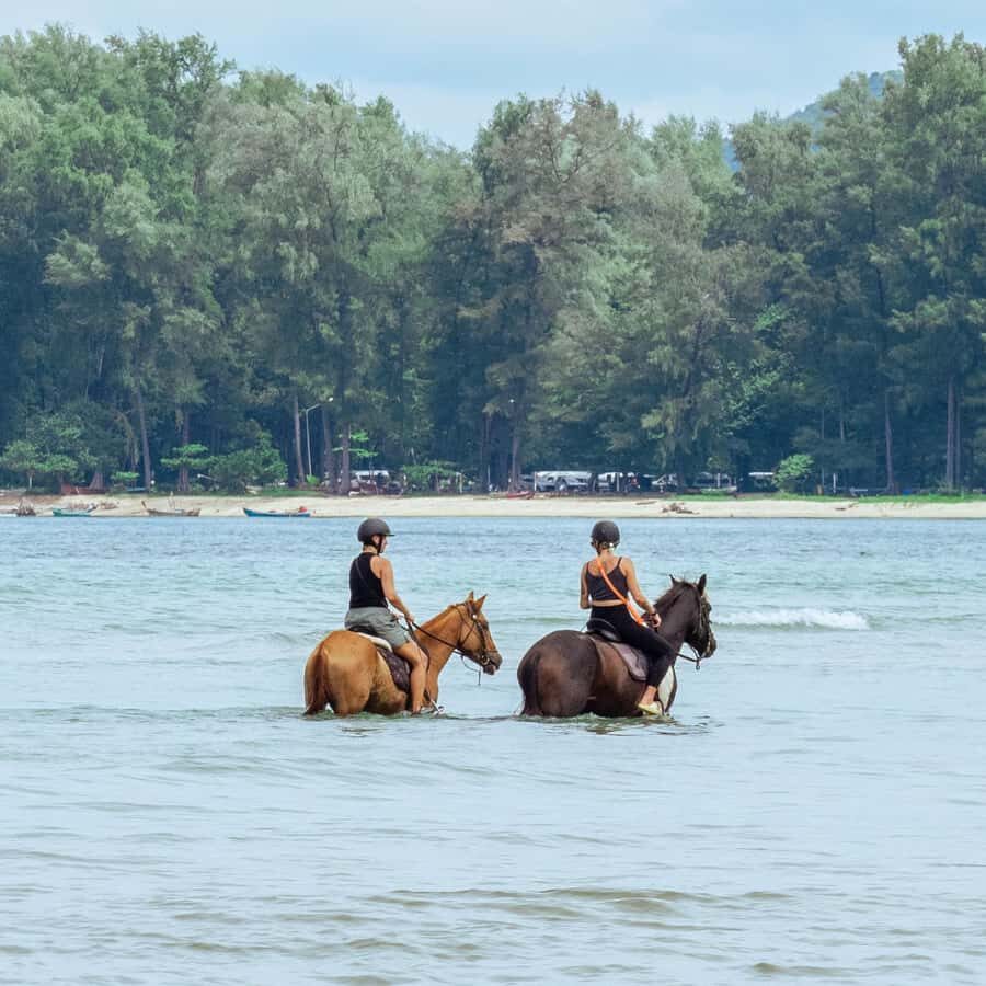 Phuket Beach Horseback Adventure - The Itinerary in Detail: What to Expect from the Phuket Beach Horseback Adventure
