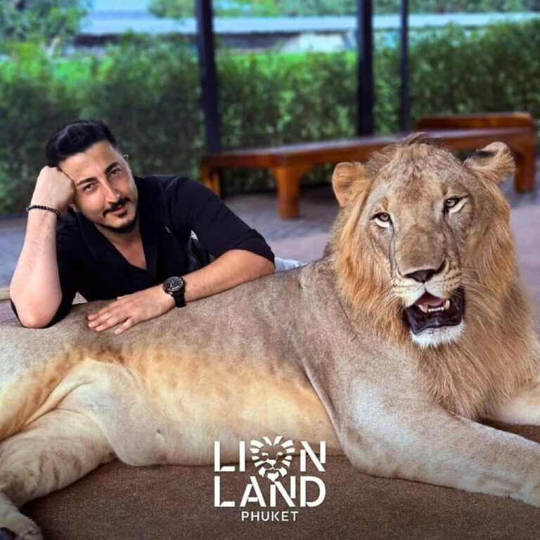 Phuket Big Buddha city tour + Lion and ATV + Tour guide(ENG) - Authentic Experiences and Real Feedback