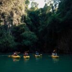 Phuket: Bioluminescent Plankton Cave Kayaking with Dinner - What to Expect on the Water