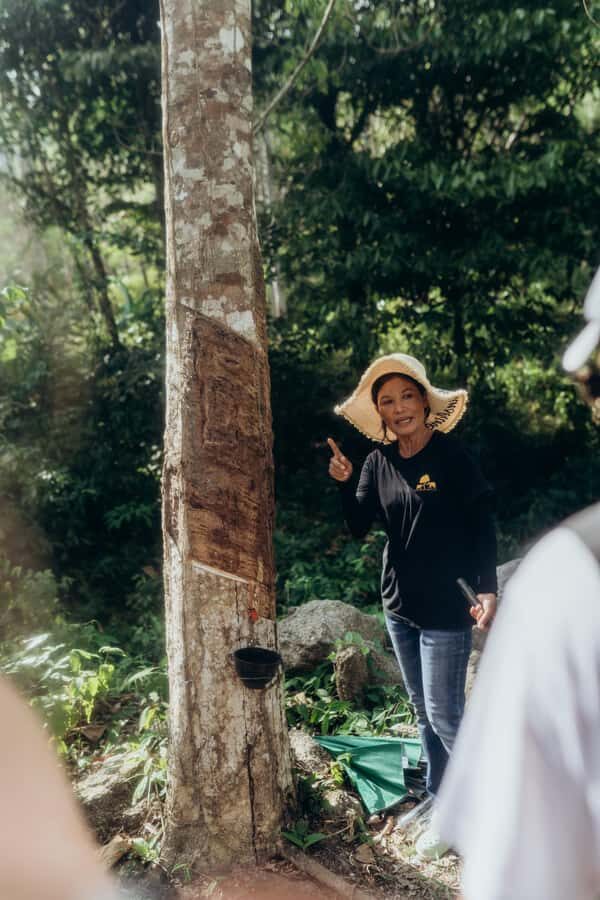 Phuket: Bukit Elephant Park Sanctuary Tour with Lunch - Key Points