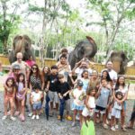 Phuket Elephant Conservation: Half-Day I Cooking Class I DIY - Why This Tour Offers Good Value