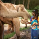 Phuket: Elephant Jungle Sanctuary 'Watch Me' Experience - Authenticity and Reviews