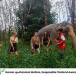 Phuket: Elephant Sanctuary Tour, Cooking Class & Lunch - Authenticity and Ethical Focus