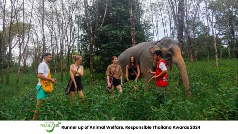 Phuket: Elephant Sanctuary Tour, Cooking Class & Lunch - Authenticity and Ethical Focus