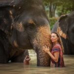 Phuket: Elephant Sanctuary Tour - Mud Spa & Swim - The Value for Money