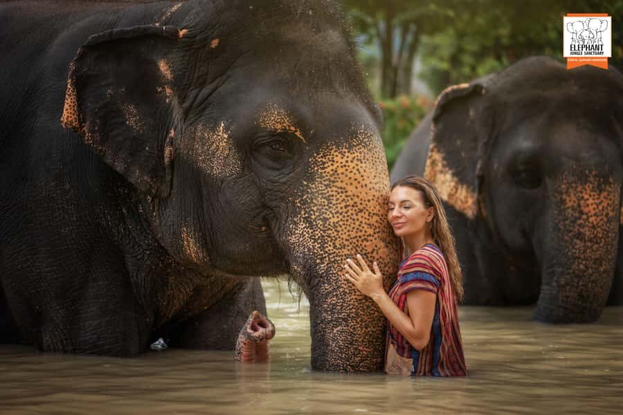 Phuket: Elephant Sanctuary Tour - Mud Spa & Swim - The Value for Money