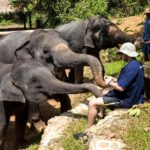 Phuket: Ethical Elephant Sanctuary Experience - What the reviews reveal