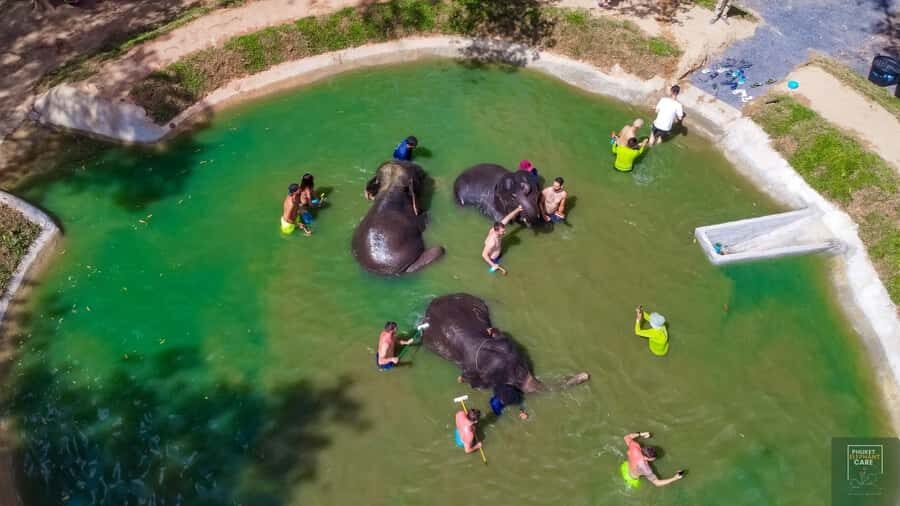 Phuket: Full-Day Elephant Explorer at Phuket Elephant Care - The Value of the Experience