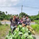 Phuket: Full-Day Ethical Elephant Sanctuary Tour with Lunch - Who Should Consider This Tour?