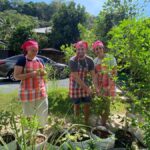 Phuket: Garden Thai Cooking Class With Local Market Visit - Why This Tour Offers Real Value