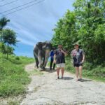 Phuket: Guided Tour to Elephant Sanctuary with Transfer - Detailed Itinerary and What It Means for You