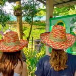 Phuket: Half-Day Ethical Elephant Sanctuary Tour with Lunch - Why Choose This Tour?
