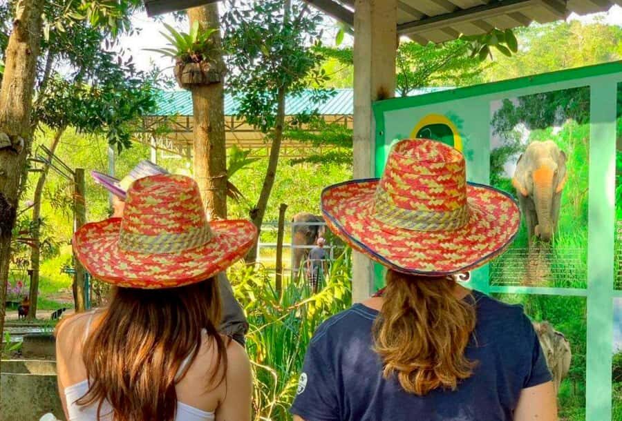 Phuket: Half-Day Ethical Elephant Sanctuary Tour with Lunch - Why Choose This Tour?