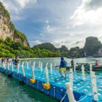 Phuket: Hong Island Krabi and Phang Nga By Premium Catamaran - The Itinerary Breakdown