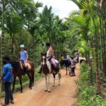 Phuket Jungle Horseback Ride with Scenic Forest Views - Key Points