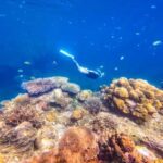 Phuket/Khao Lak: Surin Islands 3-Reef Snorkel Masterpiece - What Sets This Tour Apart?