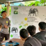 Phuket: Nature walk & Herb Ethical Wellness Elephant Tour - Practical Details & Group Experience