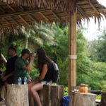 Phuket: Patong Highlights Elephant Sanctuary Tour - Who Should Consider This Tour?