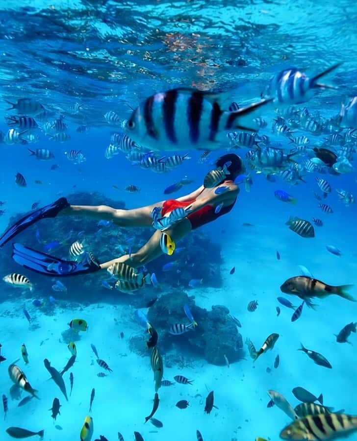 Phuket: Phi Phi & Maya Bay Speedboat Day Trip with Lunch - The Itinerary in Detail