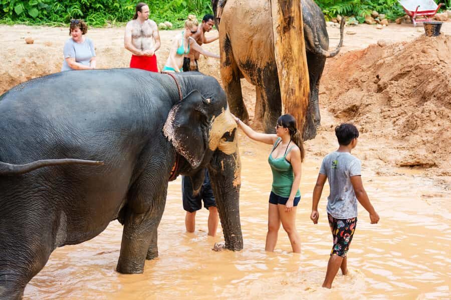 Phuket: Phuket Elephant Sanctuary, Wat Chalong & more - What You Can Expect on This Tour