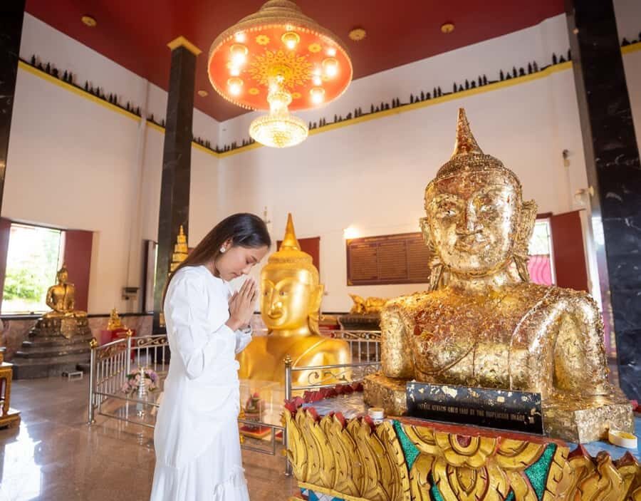 Phuket: Private & All-Inclusive Giant Water Lilies Tour - The Itinerary: How the Day Unfolds