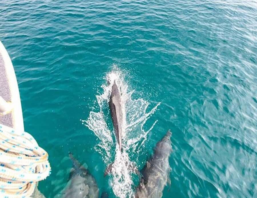 Phuket: Private Speed Boat to Maiton and Khai Islands - An In-Depth Look at the Experience