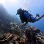 Phuket: Racha Yai 2-Fun Dives or Snorkeling Trip w/Transfer - The Itinerary: What to Expect