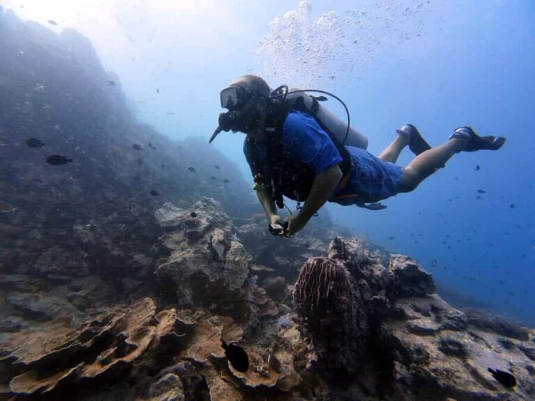 Phuket: Racha Yai 2-Fun Dives or Snorkeling Trip w/Transfer - The Itinerary: What to Expect