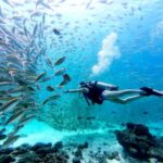 Phuket: Racha Yai & Racha Noi Island Diving Day Trip - Why Consider This Tour?