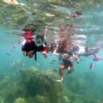 Phuket: Relaxed Phi Phi & Khai Islands Beach Snorkeling Tour - Exploring the Itinerary in Detail
