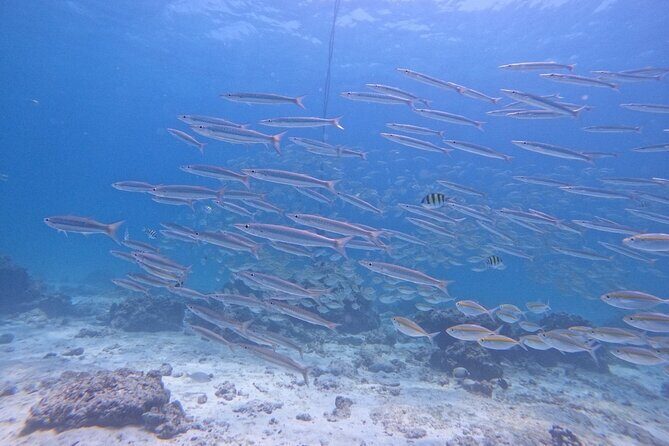 Phuket: Scuba Dive Racha and Coral Islands with Snorkeling Tour - Practical Details and Considerations