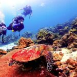 Phuket: Scuba Diving Maithon Or Racha Islands For All Levels - What to Expect: A Full-Day Marine Journey