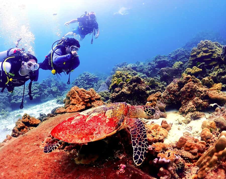 Phuket: Scuba Diving Maithon Or Racha Islands For All Levels - What to Expect: A Full-Day Marine Journey